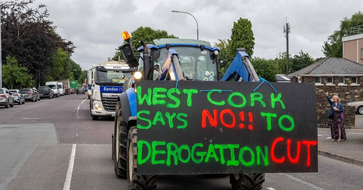 Small farmers in fear for their livelihoods, says Cork TD