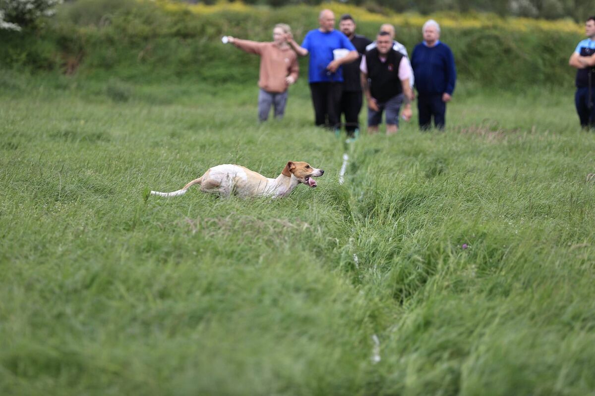 Trina Long, treasurer of the Cork City and County Harriers is a credit ...
