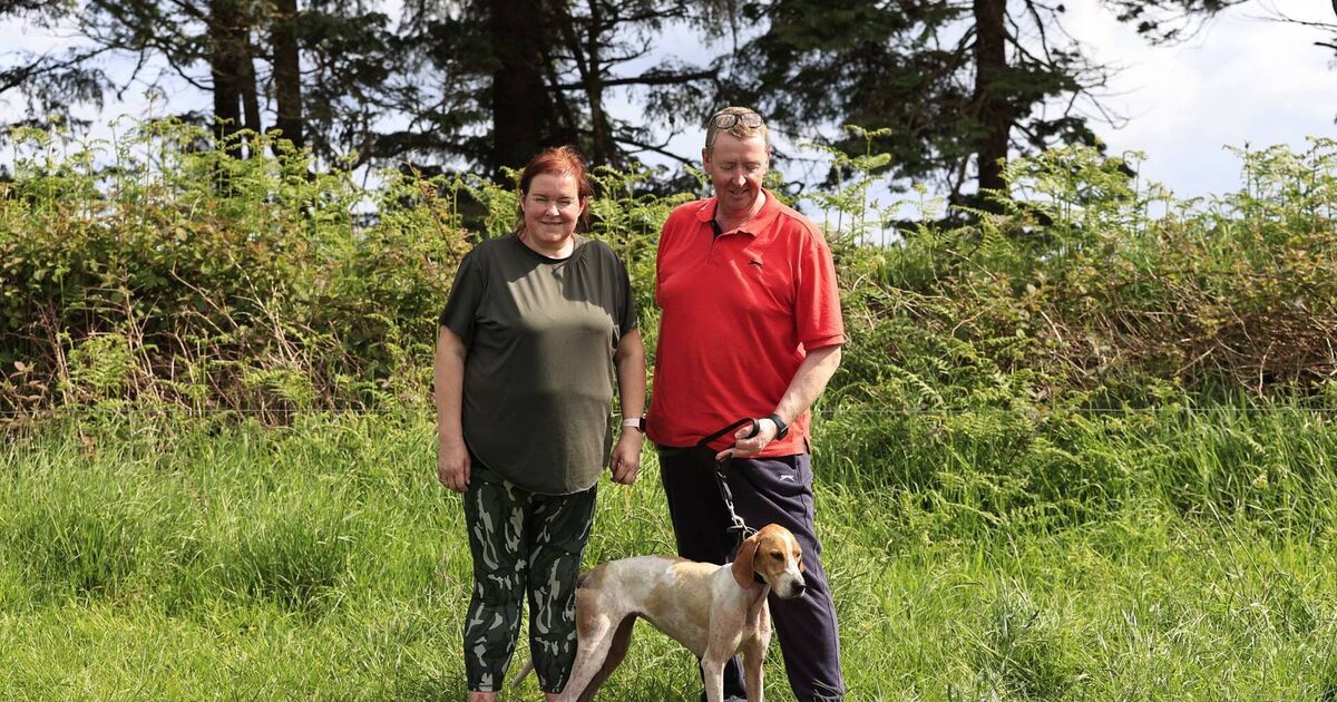 Trina Long, treasurer of the Cork City and County Harriers is a credit ...