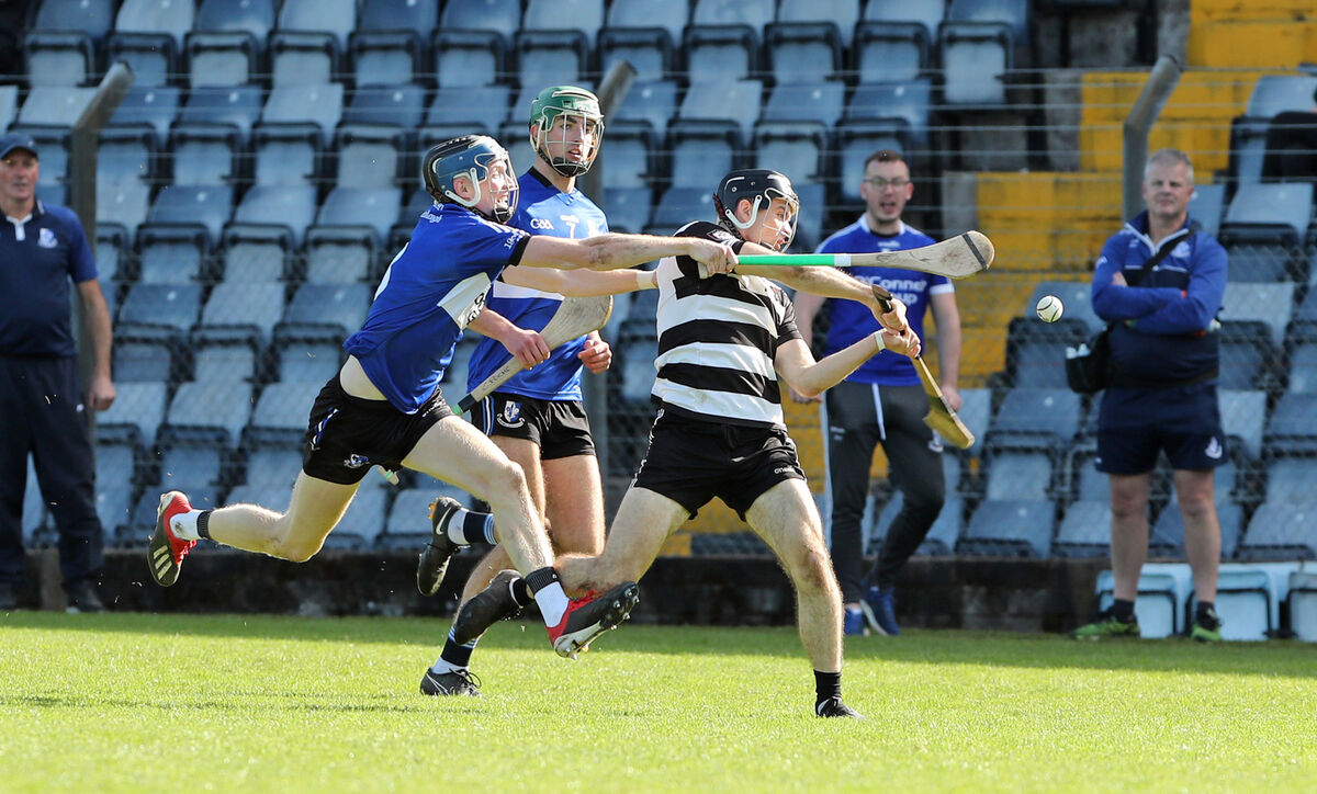 Premier Senior Hurling: Who will be crowned champion and who will ...