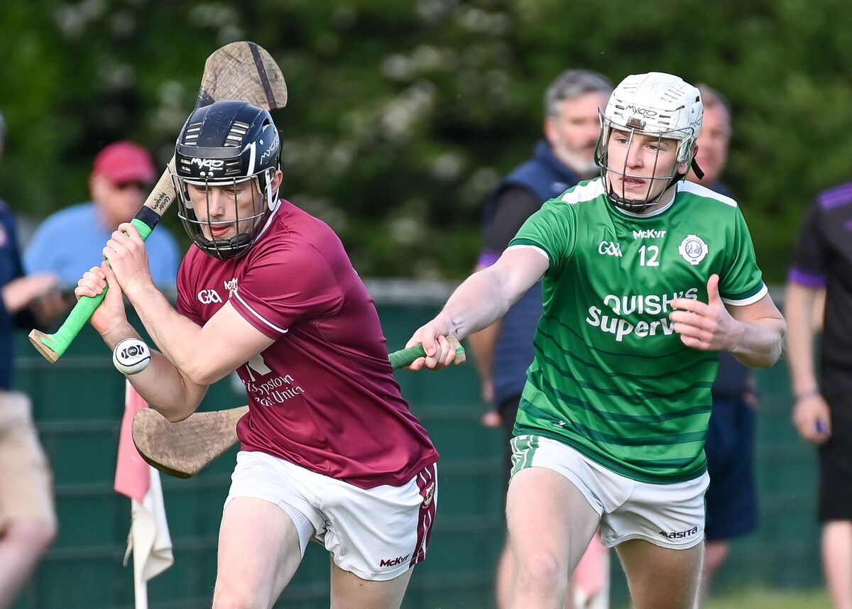 Premier Senior Hurling: Who will be crowned champion and who will ...