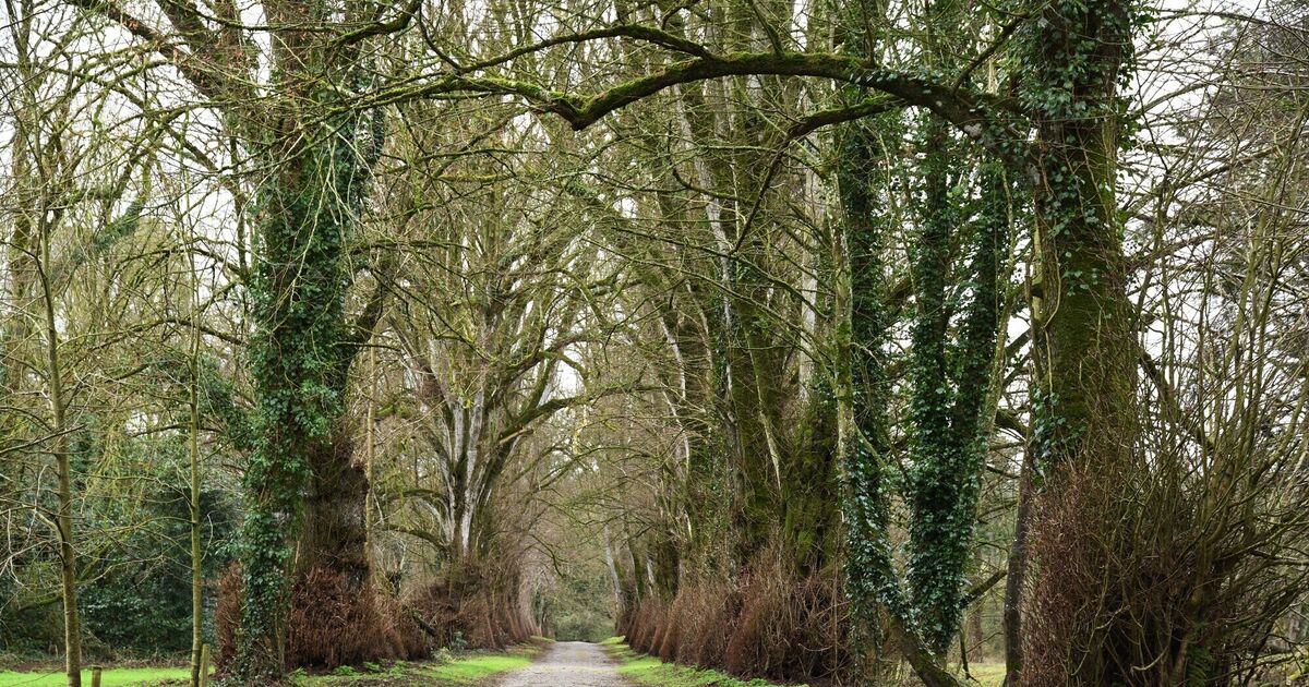 Cork's wildlife to be explored as part of Heritage Week