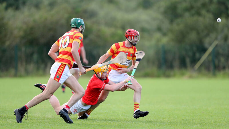 Newcestown's belief carries them but Blarney must quickly regroup for ...