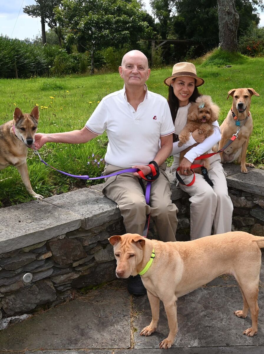 Cork man paid €15k to be reunited with beloved dogs after leaving his ...