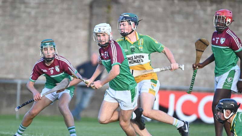 Cork club hurling previews: SAHC and PIHC knockout spots up for grabs