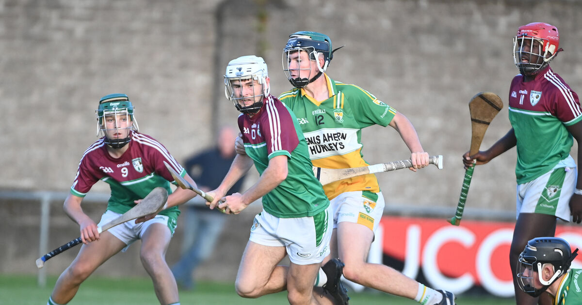 Cork club hurling previews: SAHC and PIHC knockout spots up for grabs