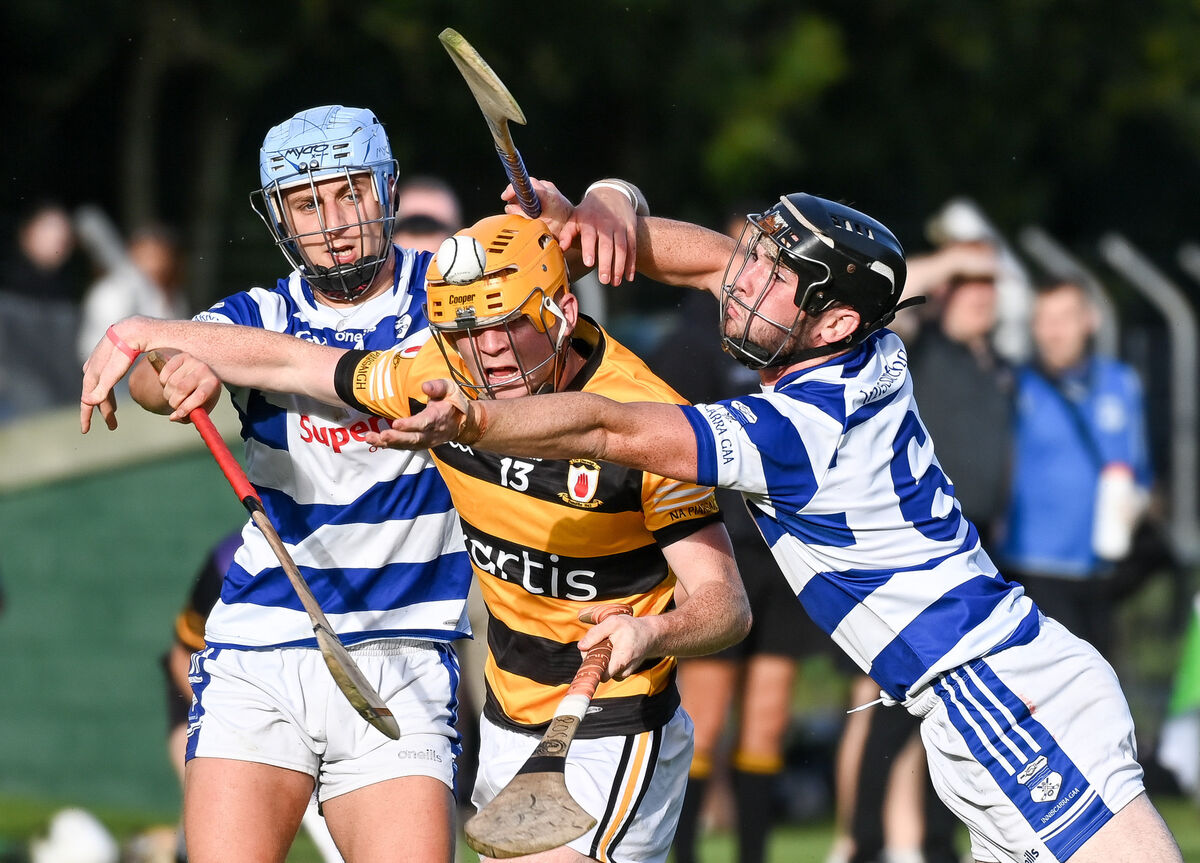 Cork hurling talking points: Injuries cast a shadow as Sars shine and ...
