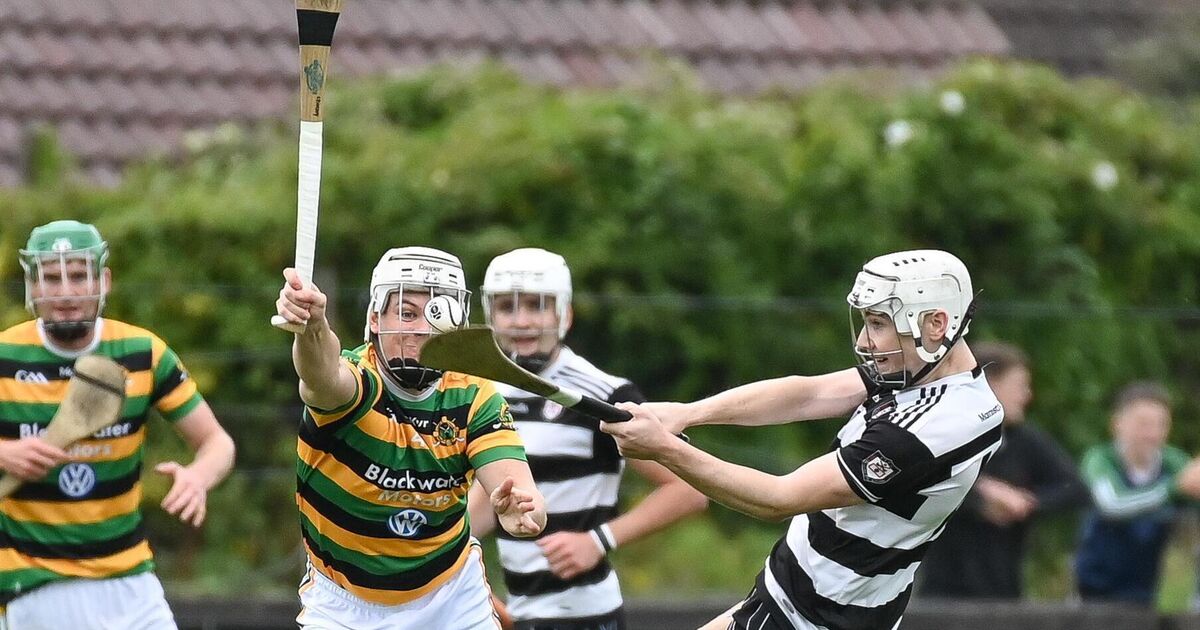 John Horgan: Time for the hurling clubs to sit back, take stock and re ...