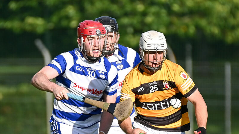 Seán Óg Ó hAilpín on Na Piarsaigh’s season so far: 'There is plenty to ...