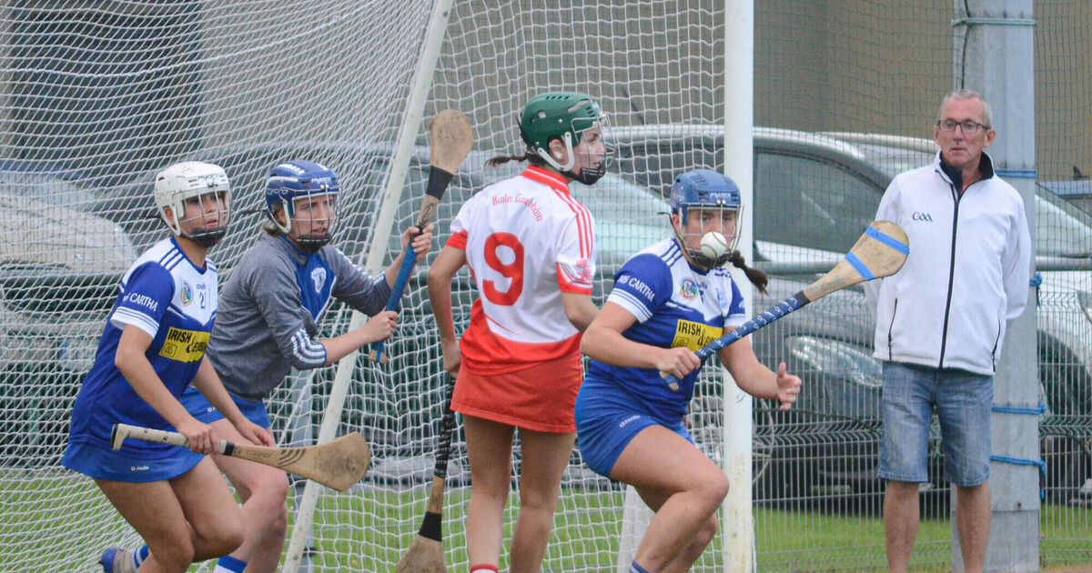 Camogie: Inniscarra's goals secure opening win against Ballygarvan