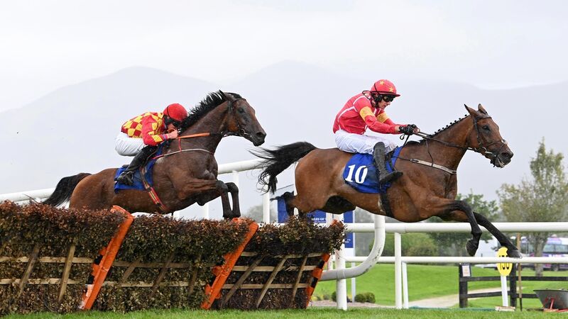 Townend family savour great Killarney success while John Murphy and ...