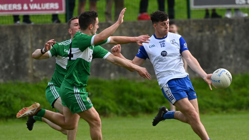 Knocknagree claim the Tom Creedon Cup following a comfortable win over ...