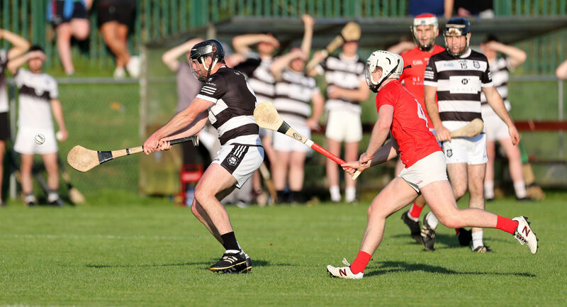SAHC: Blarney edge out Ballyhea to progress as Mark Coleman returns ...