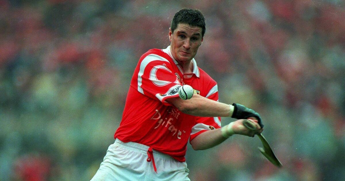 Memories to be relived on a ‘day to treasure’