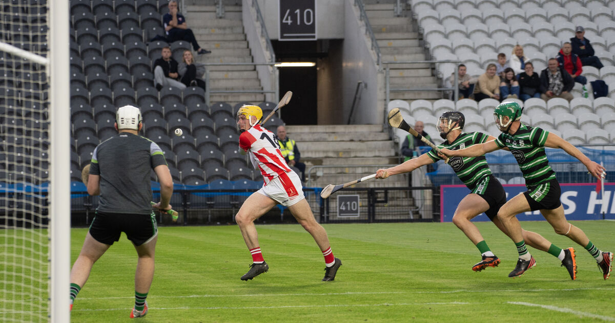 Premier SHC: Imokilly manager Denis Ring grateful to the division's clubs