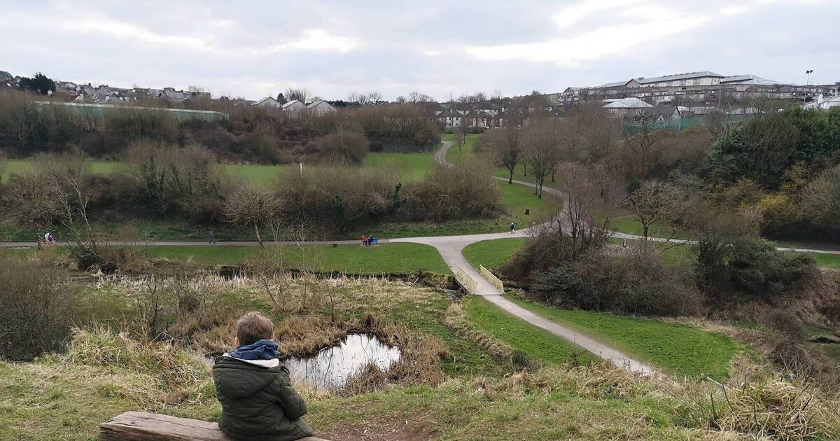 Climate action project to launch in Cork city