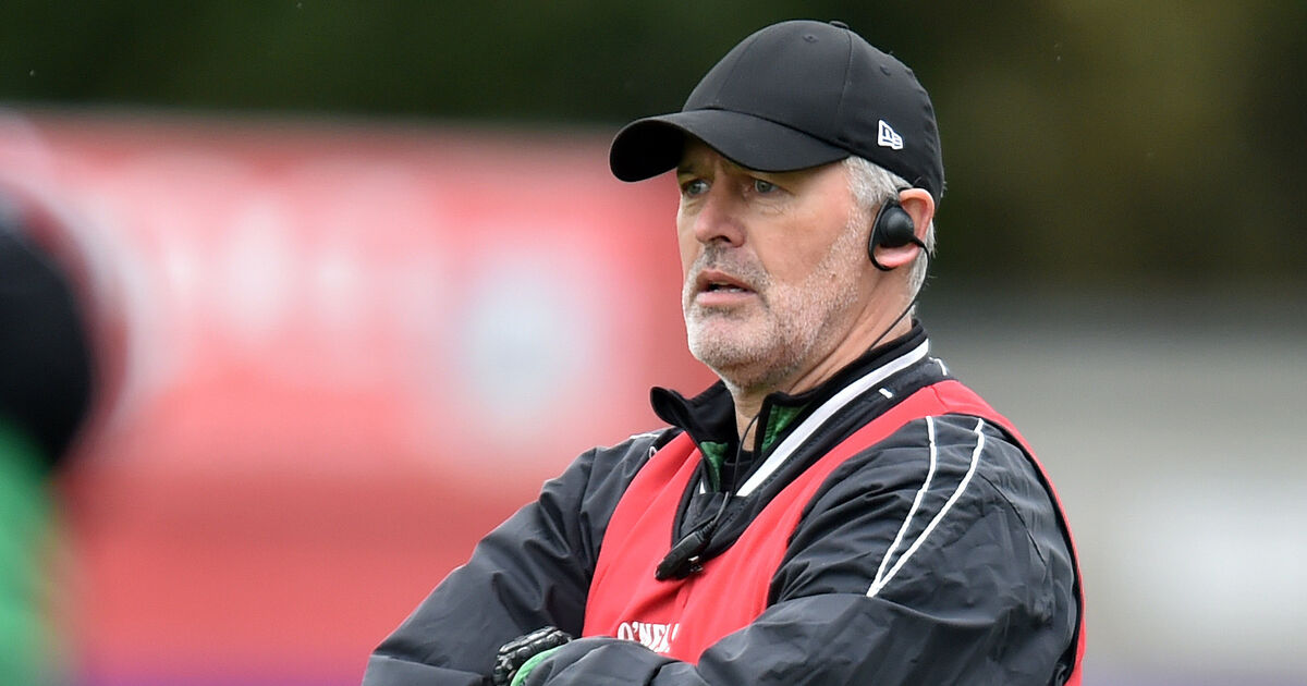 'You would have nearly wanted a swimming certificate' says Nemo boss ...