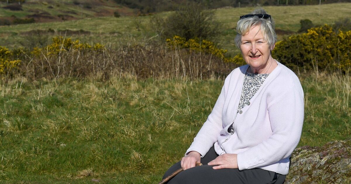 Locals call on Cork City Council to avoid development on Murphy's Rock