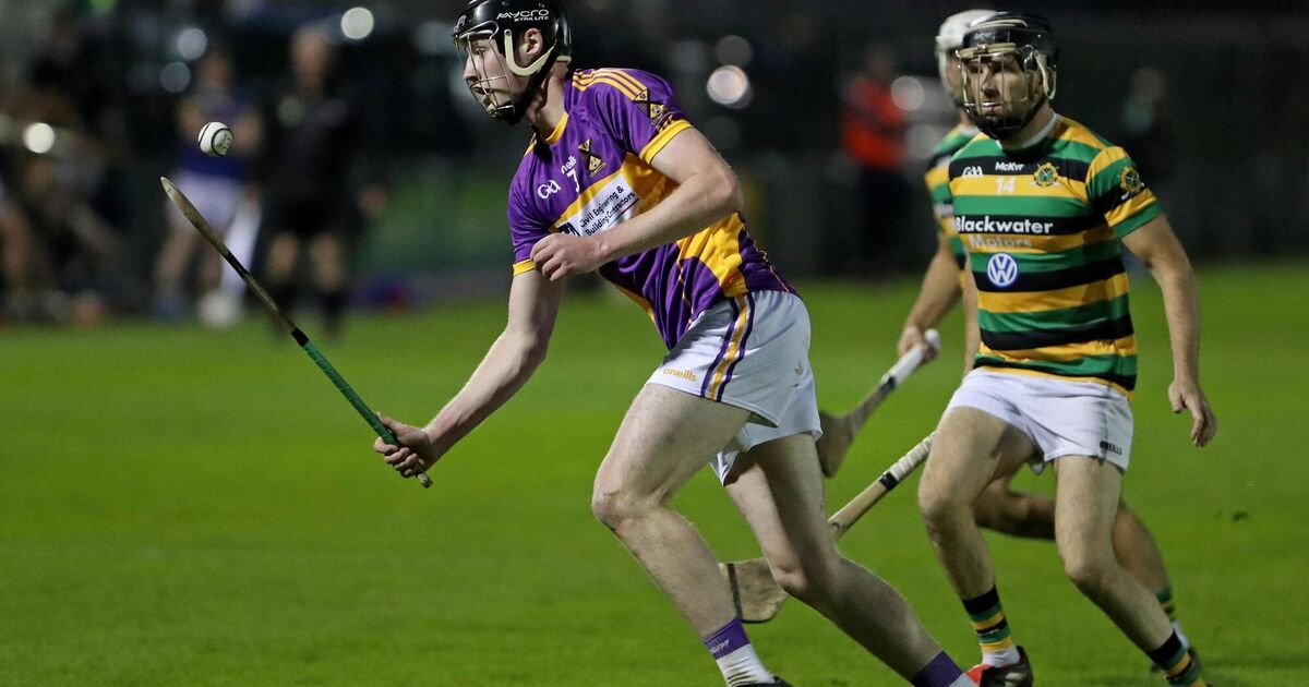 Premier JHC final: Robbie O'Flynn could feature for Erin's Own against ...