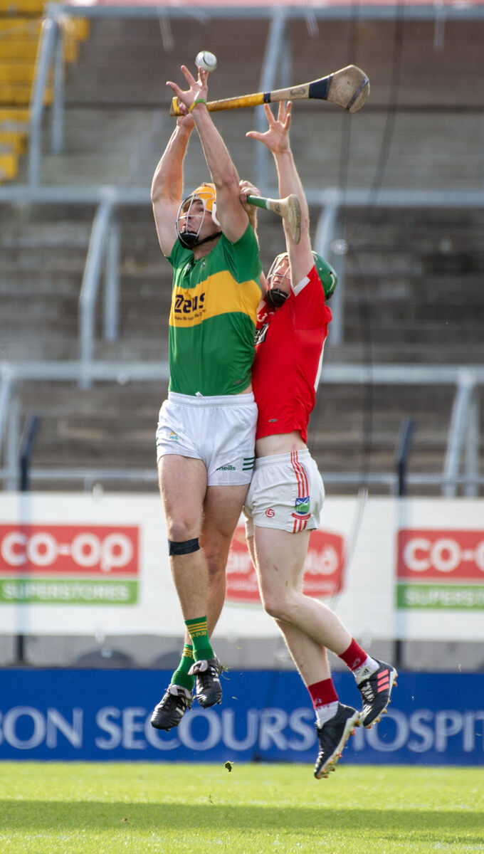 Hurling heroes: Sarsfields, Castlelyons and Erin's Own celebrate county ...