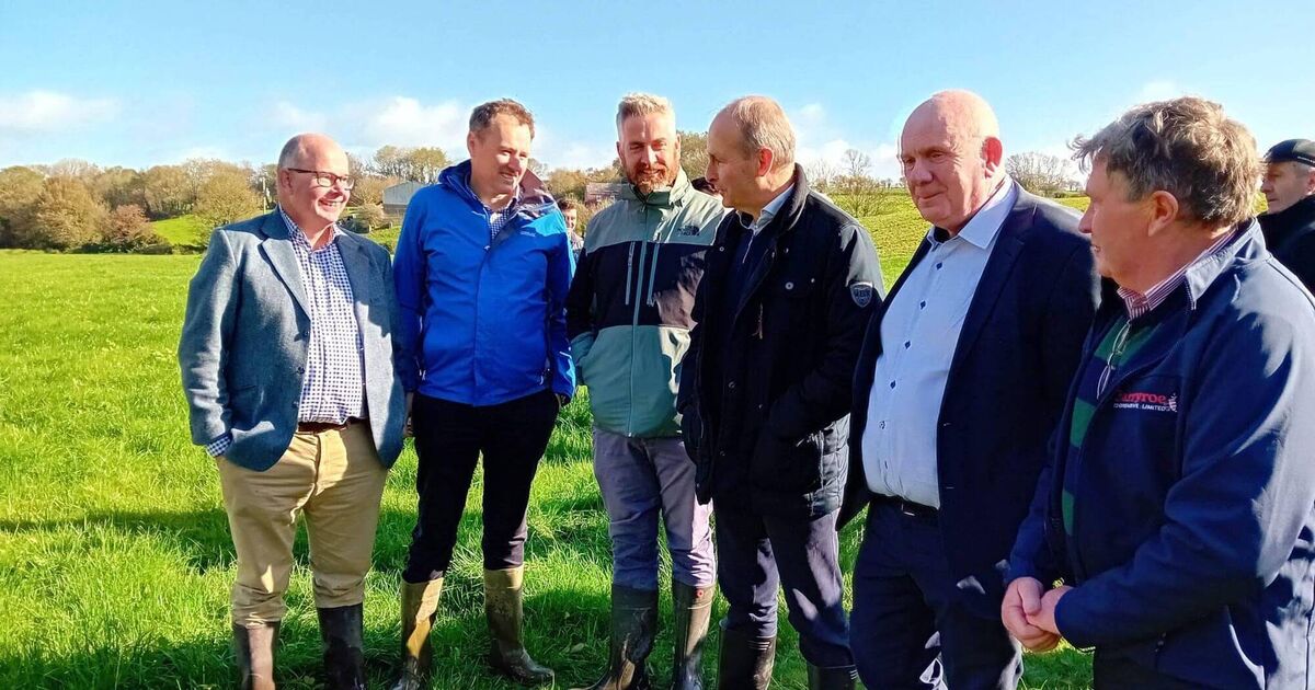 West Cork farmers seek more time to prove effectiveness of measures to ...