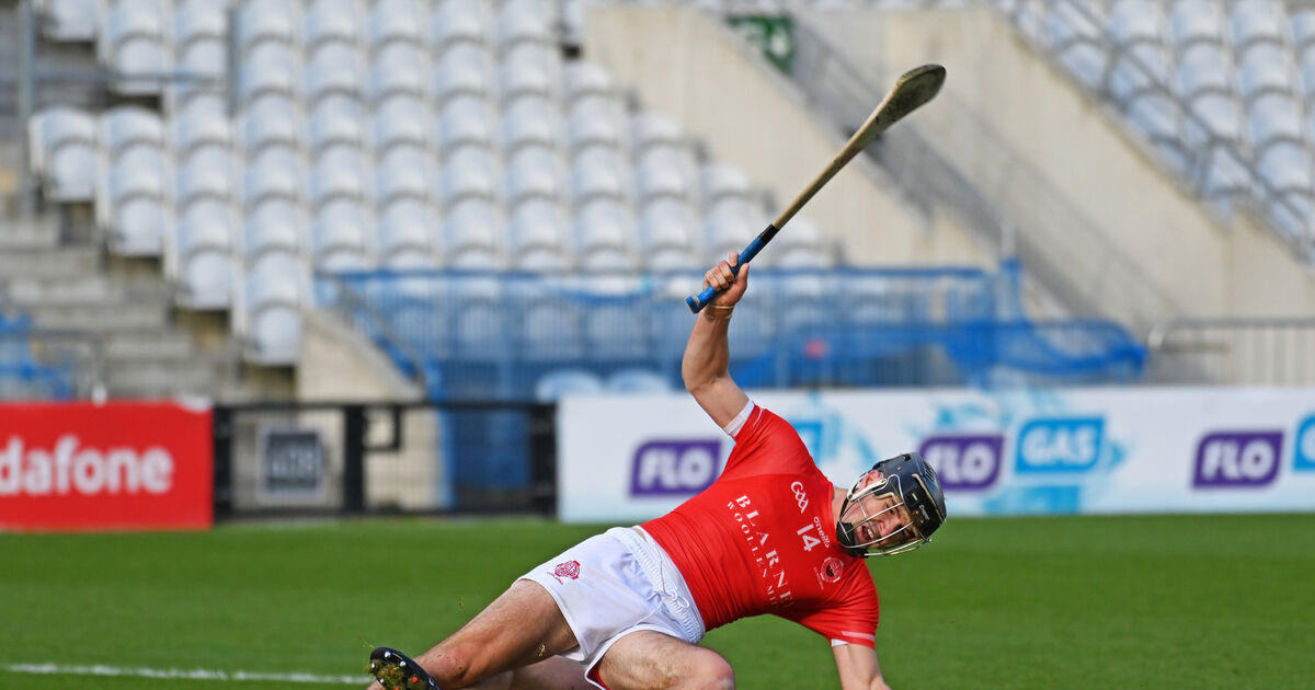 Cork hurling talking points: Rebel players made their mark at Páirc Uí ...