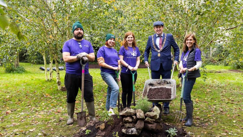 IT workers volunteer to help establish community garden in Mahon