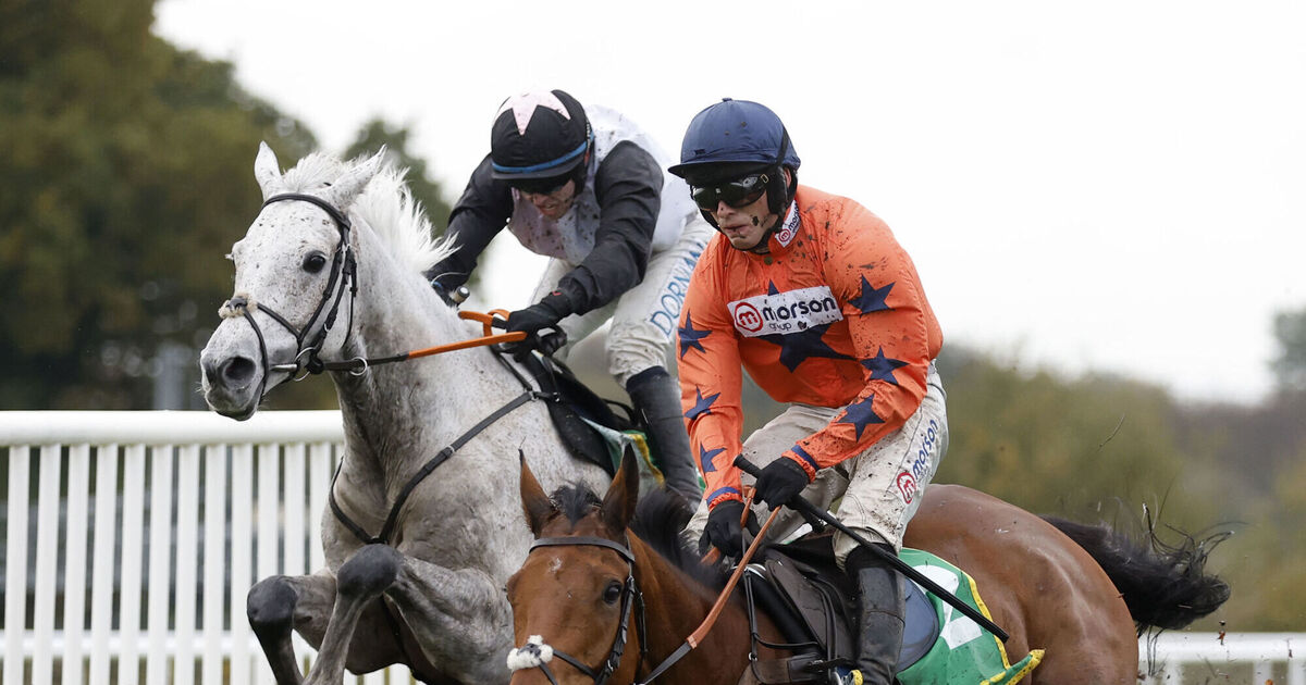 Cork jockeys Darragh O'Keeffe, Gavin Sheehan and Johnny Burke deliver