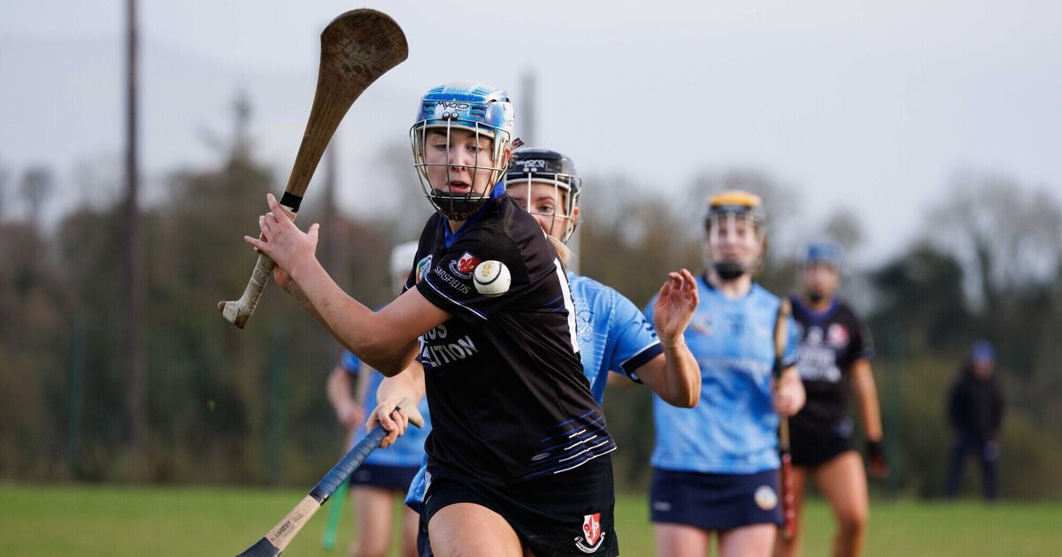 Sarsfields show real grit to get past Truagh Clonlara and into Munster semi