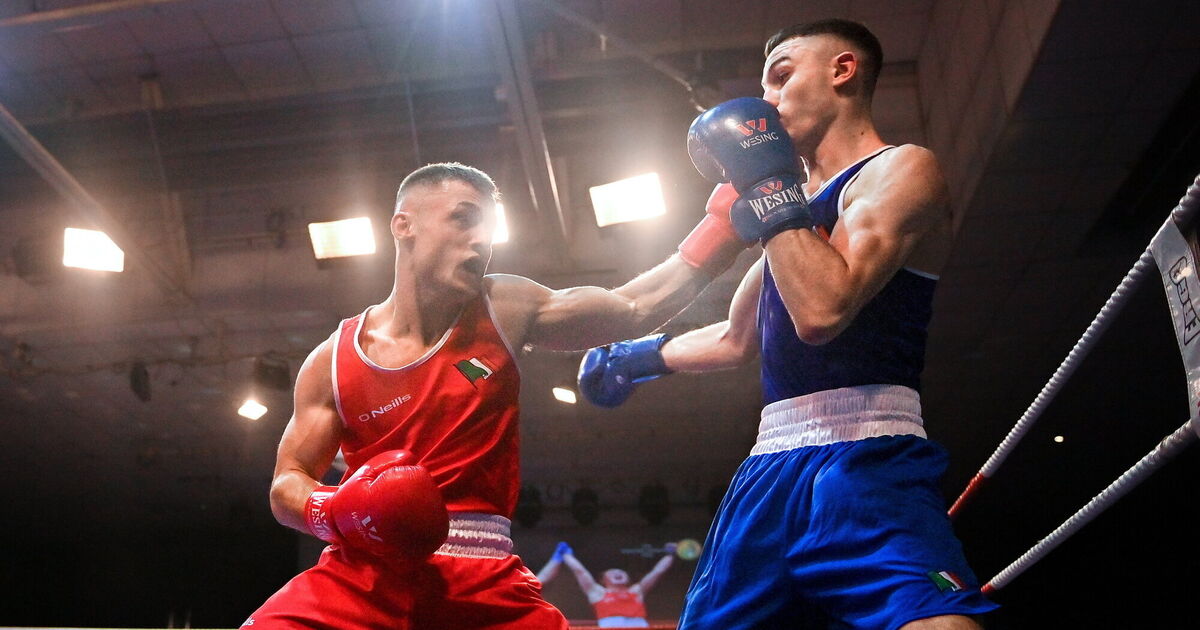 Cork Boxing: Aaron O’Donoghue, Linda Desmond and Ryan McCarthy make ...