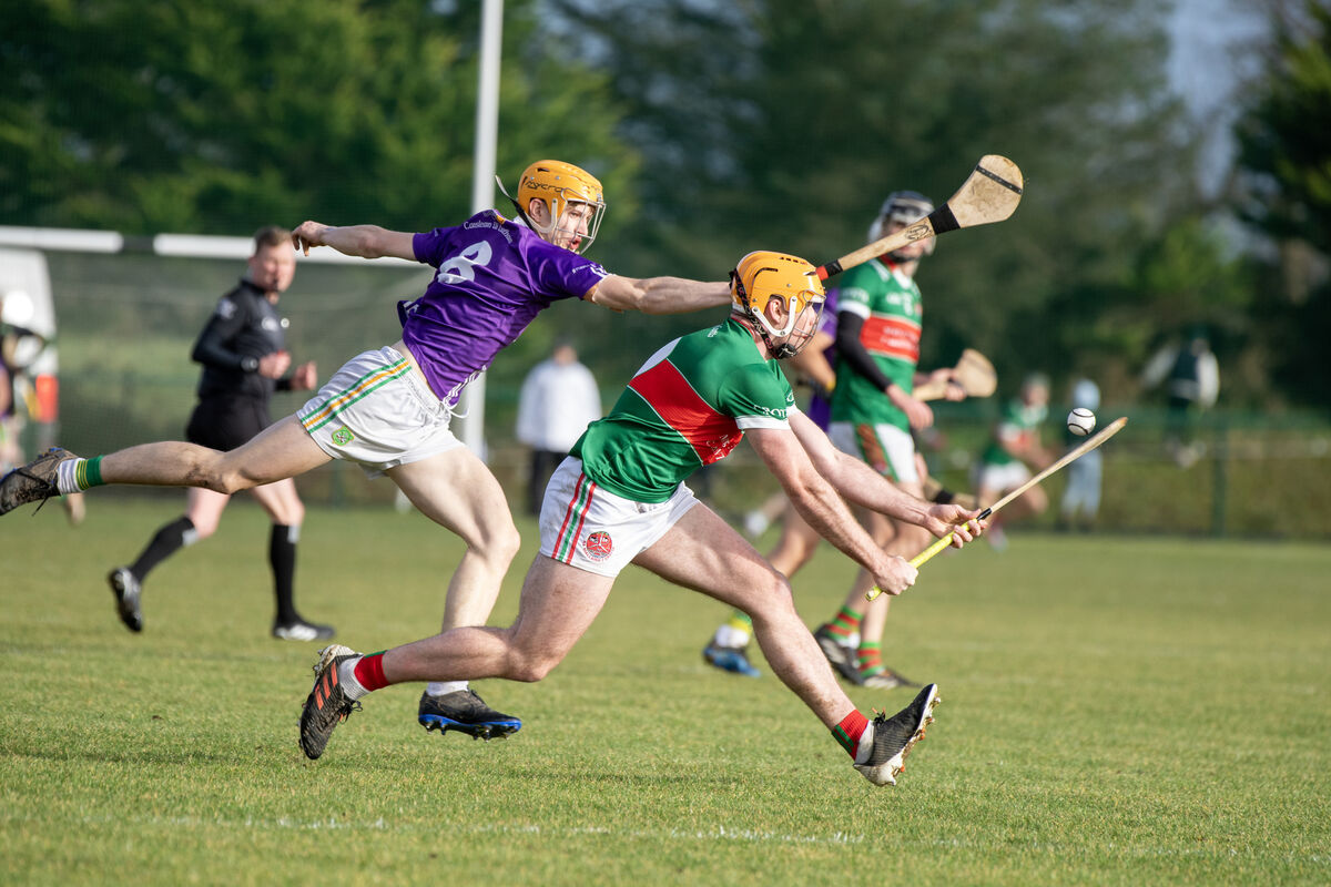 John Horgan on hurling: With four adult teams, Killeagh are a model for ...