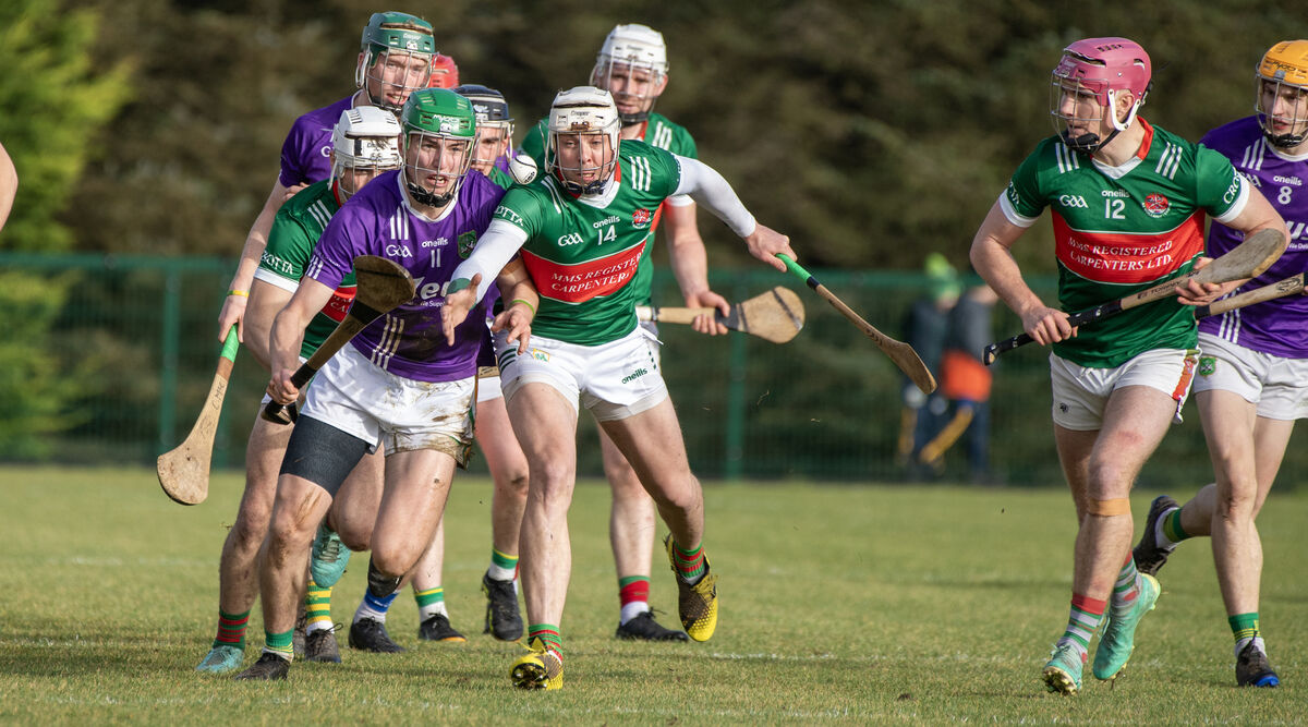 John Horgan: Castlelyons and St Catherine's fly the hurling flag for ...