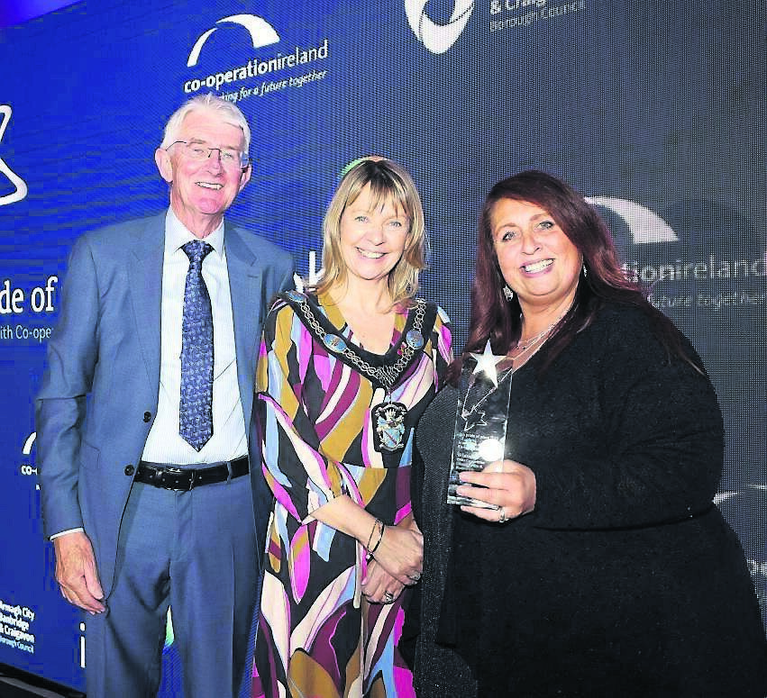 Pictures: Community groups honoured at Pride of Place awards night