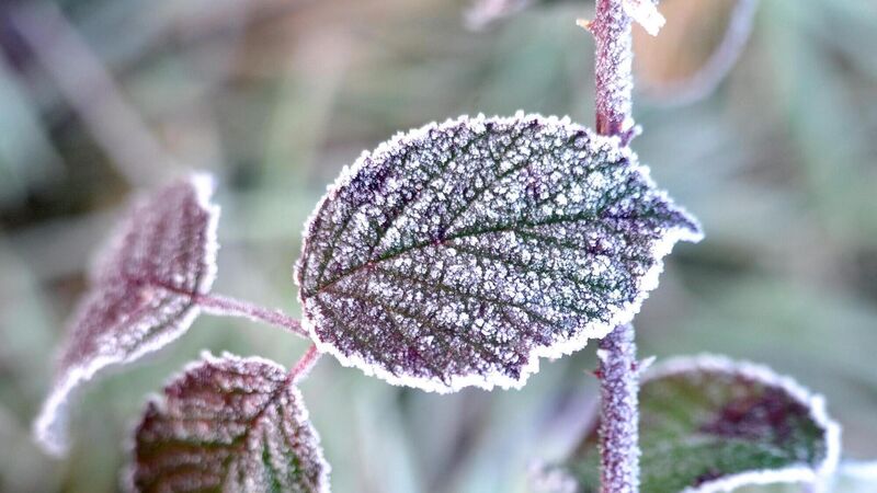 Weather warning to come into effect in Cork; public alerted to 'sharp ...