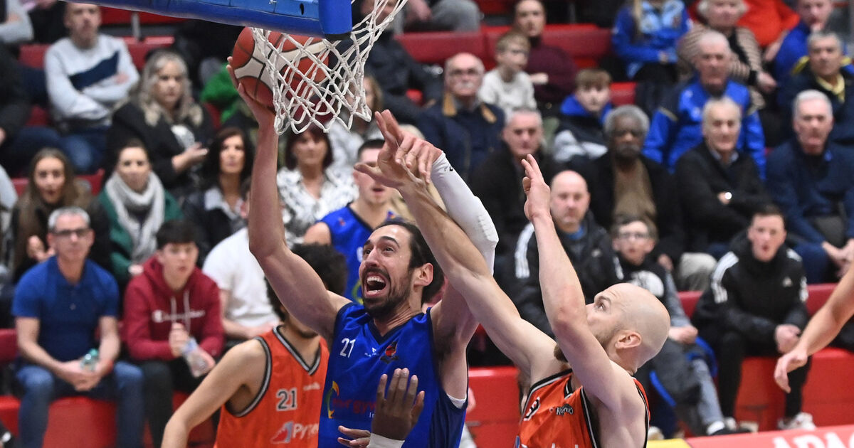 Cork basketball flying high as five clubs move into National Cup semis