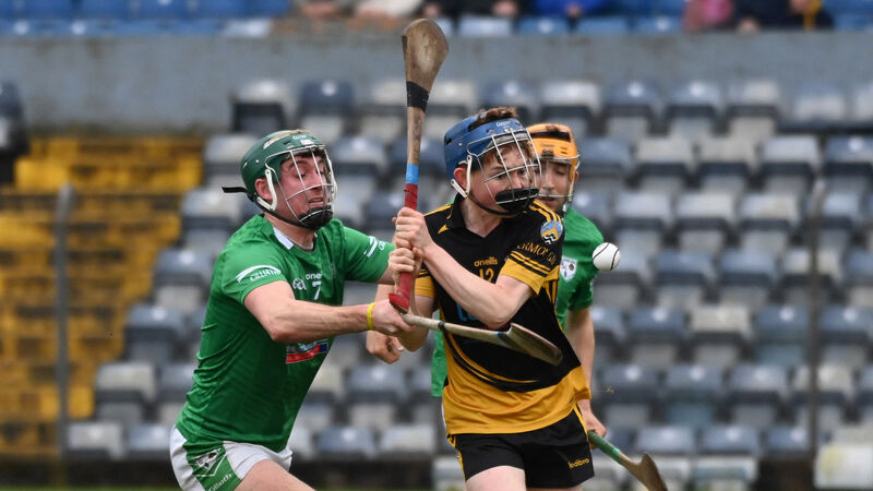 John Horgan: Munster glory shows impressive depth of Cork hurling