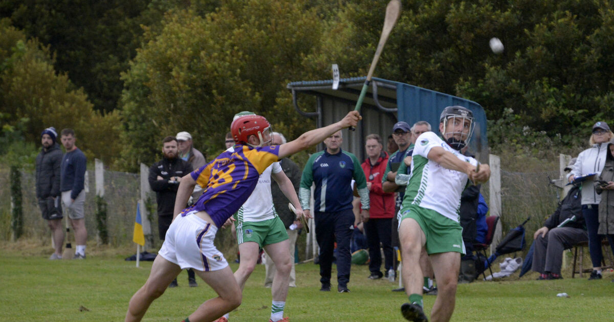 Muskerry GAA hold an upbeat annual convention