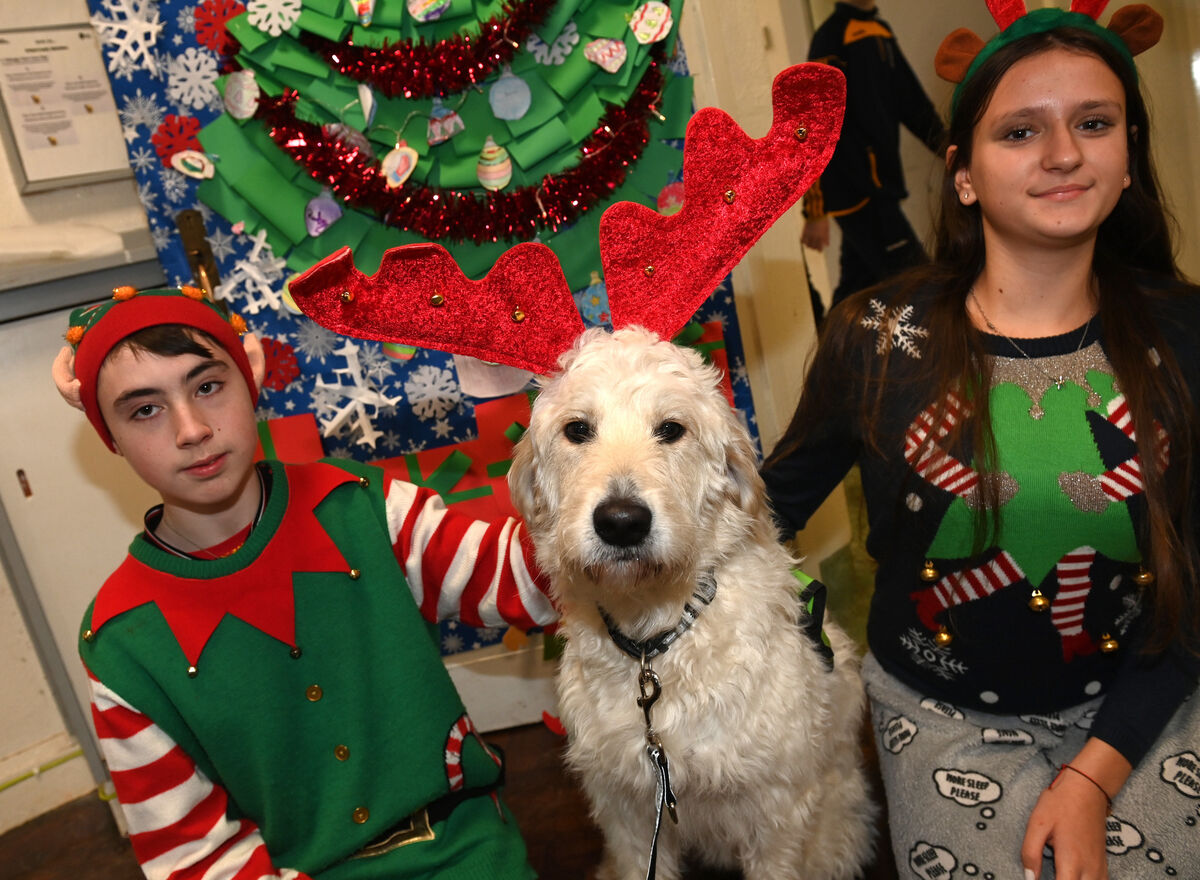 Pictures: Festive feast sees 720 students at Cork school tuck into ...