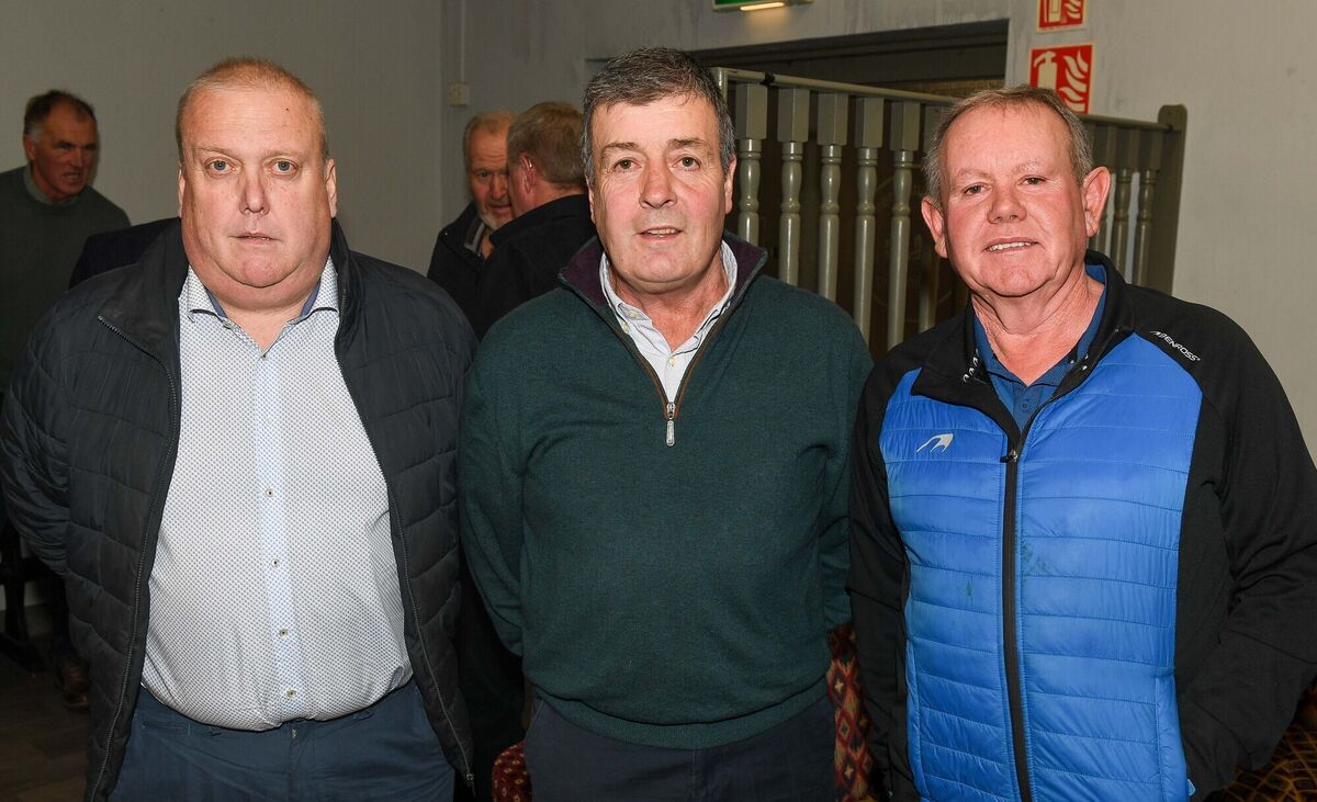 Croabh Rua hurling success united Ballincollig and Ballinora GAA clubs