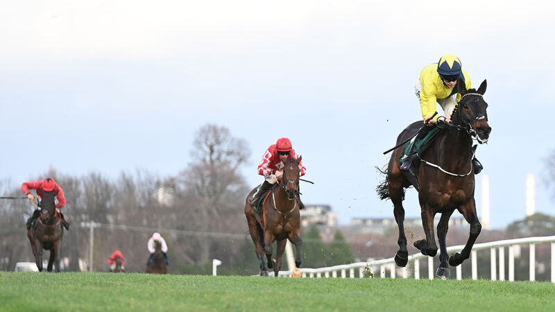 Cork jockey Michael O'Sullivan guides Marine Nationale to impressive ...