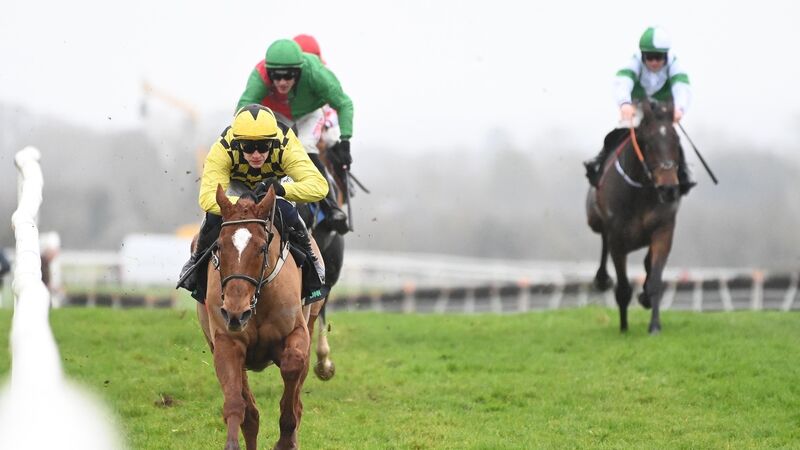 Paul Townend and State Man can deliver for Cork racing fans at Leopardstown