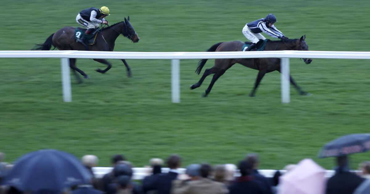 Kilbrin jockey David Noonan is enjoying a great season