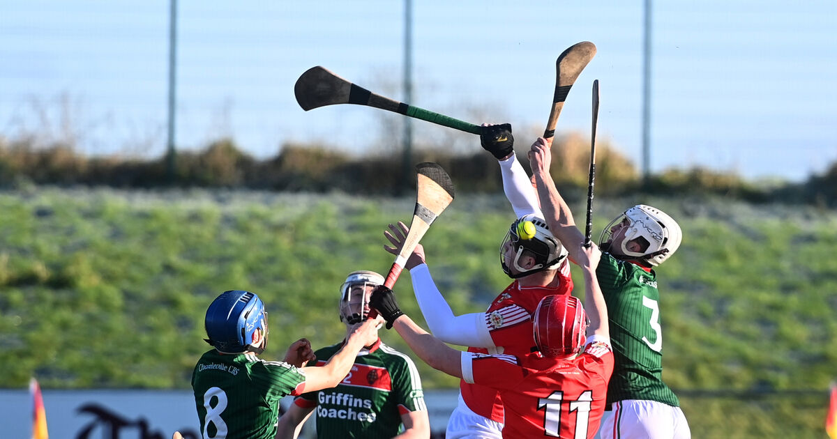 Dr Harty Cup: Charleville CBS rise the highest of eight Cork schools