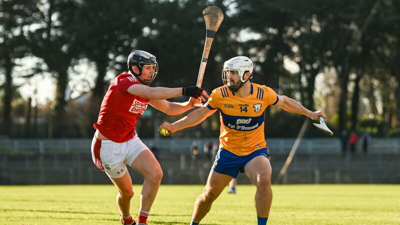 John Horgan on the positives and negatives from Cork's first hurling ...