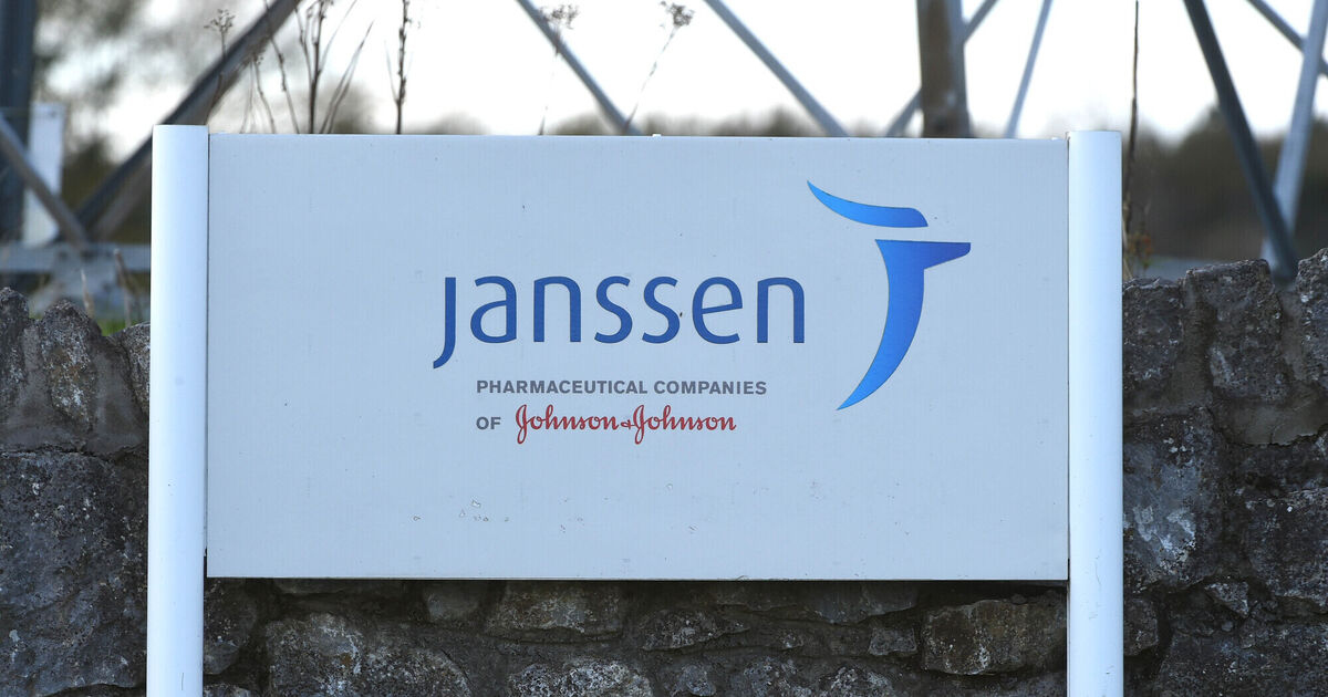 Two men taken to hospital following incident at Cork pharma plant ...