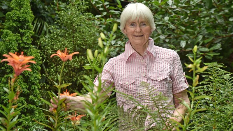 Cork author Alice Taylor to be inducted into the Hall of Fame at Cork ...