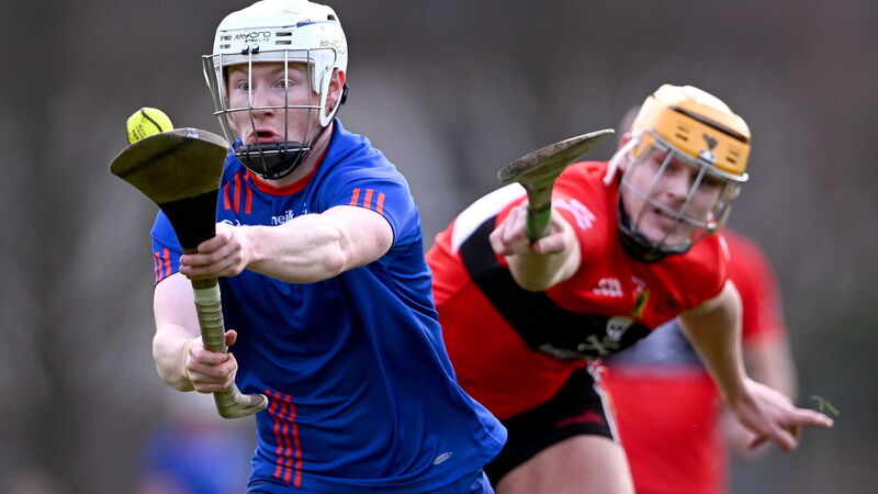Fitzgibbon Cup: Defeat for UCC in opener against impressive Mary ...