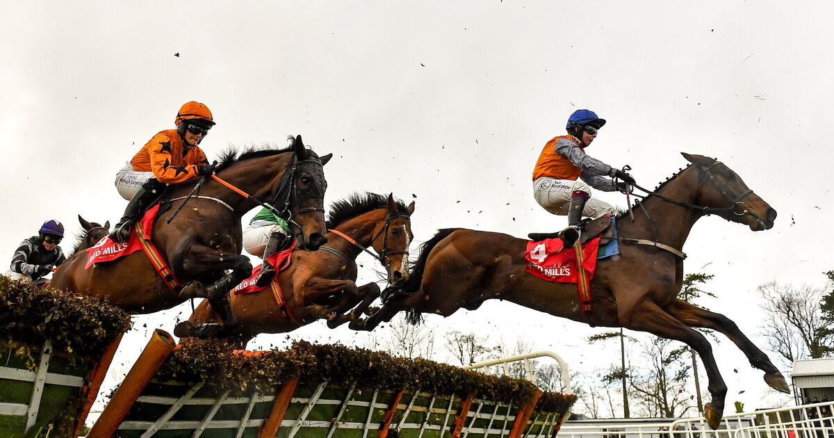 Cork jockeys win four of the first five races at Gowran Park