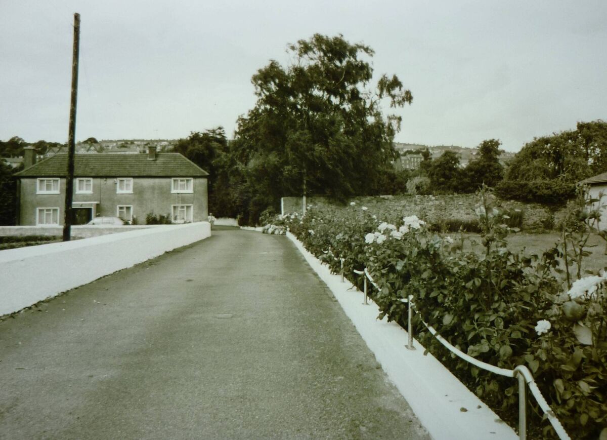 Memories of Cork's magnificent Slí Chumann na mBan Walkway