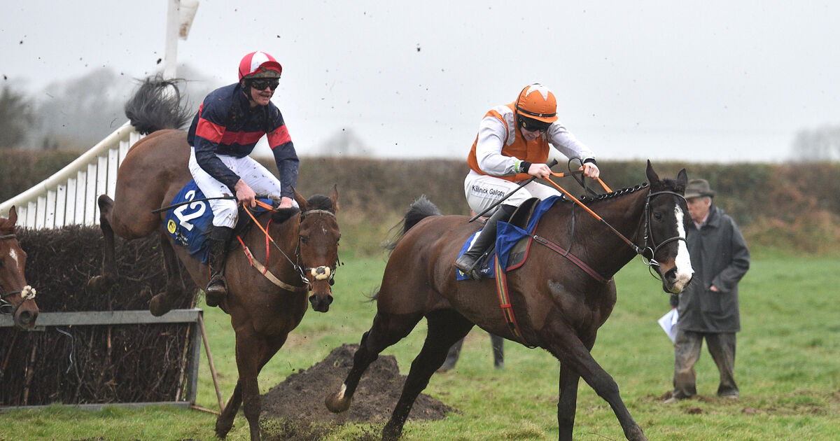 Clonakilty handler Ray Hurley saddles his first winner of the season ...